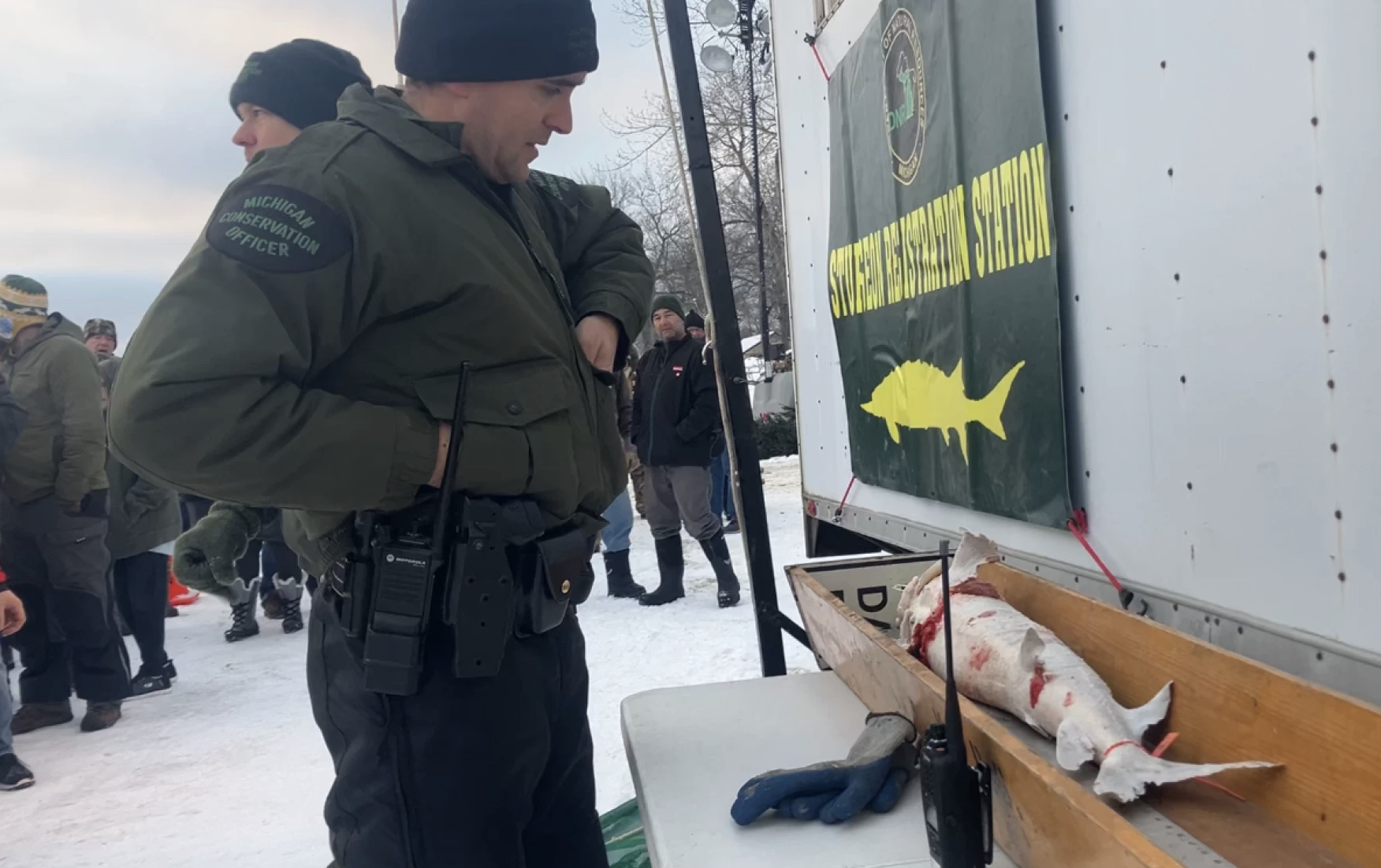 Michigan's limited sturgeon season broke records for participation ...