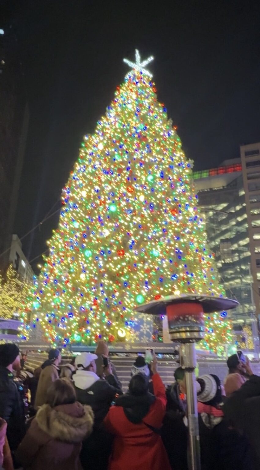 CuriosiD: What happens to the Christmas tree in Campus Martius after ...